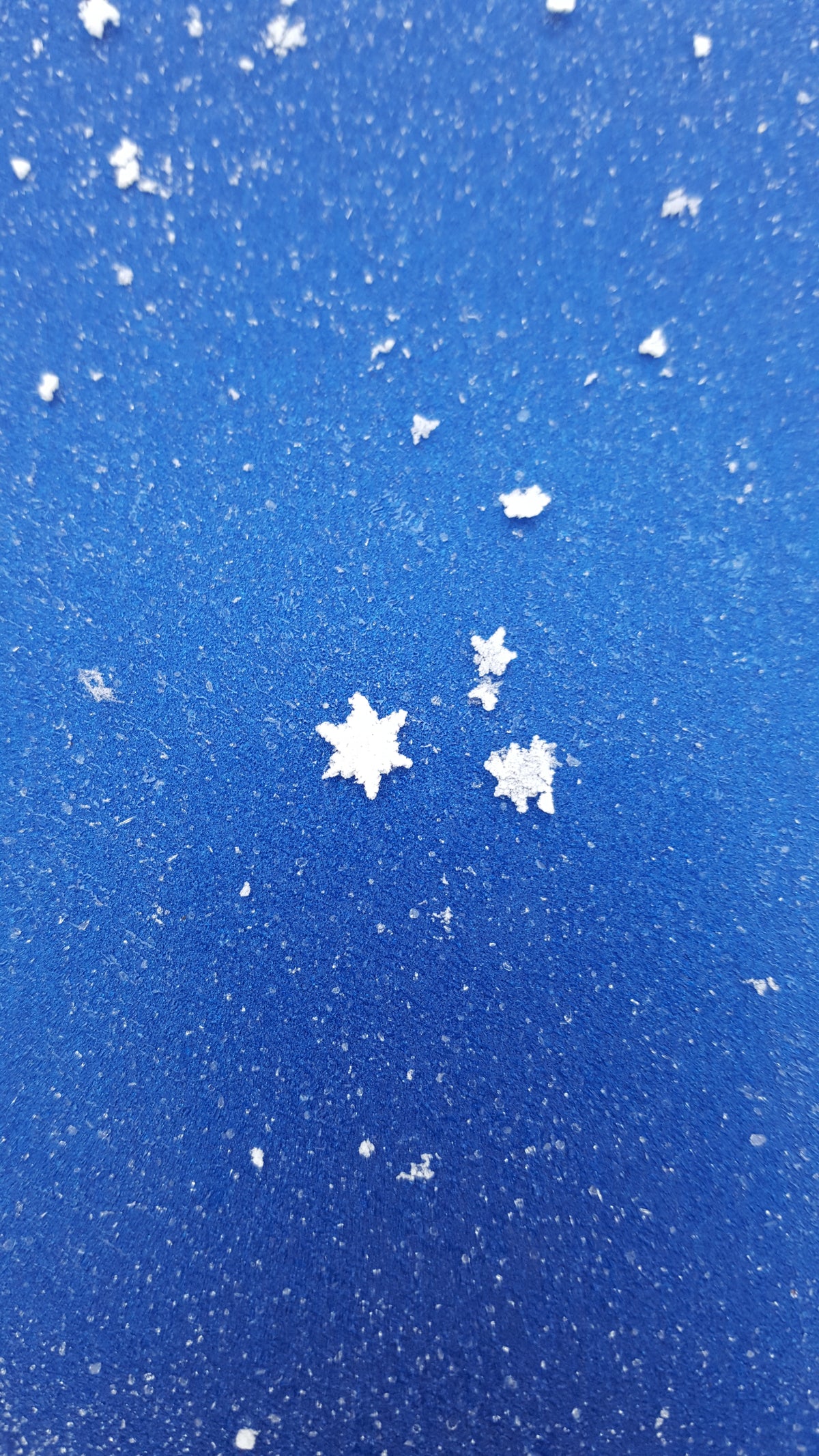 Dec 30 - OPEN! — Crafty Capers Rubber Stamps & Scrapbooking